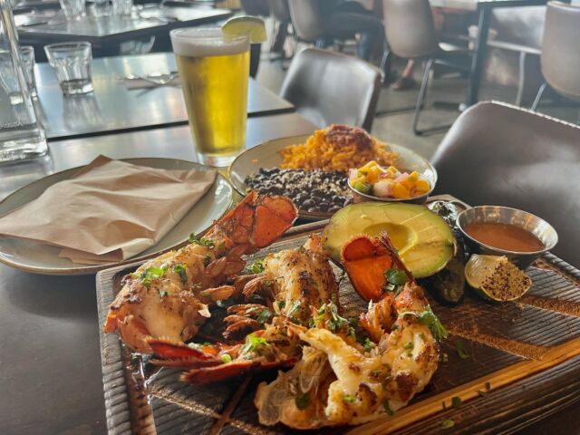 Jackalope Tex-Mex & Cantina | Authentic Tex-Mex Cuisine and Cocktails ...